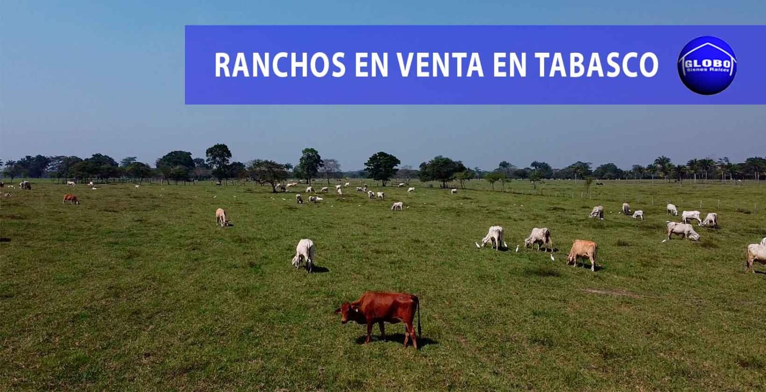 Ranchos EN VENTA en TABASCO | Globo